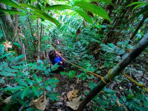 Eastern Samar Travel Guide