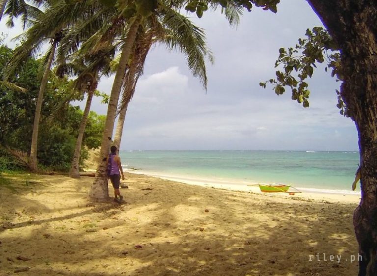 Albay Travel Guide